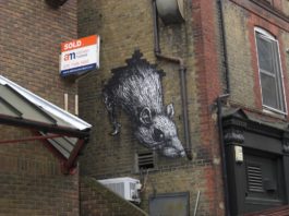 ROA – A Street Art Collection | STREET ART UTOPIA