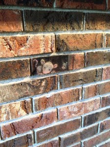 Chalk Art by David Zinn (13 photos) – A Collection 3 | STREET ART UTOPIA