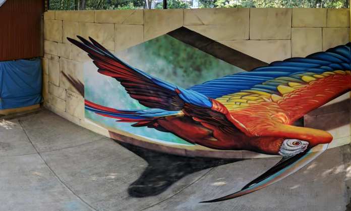 By Carlosalberto GH – In Chiapas, Mexico (6 photos) | STREET ART UTOPIA
