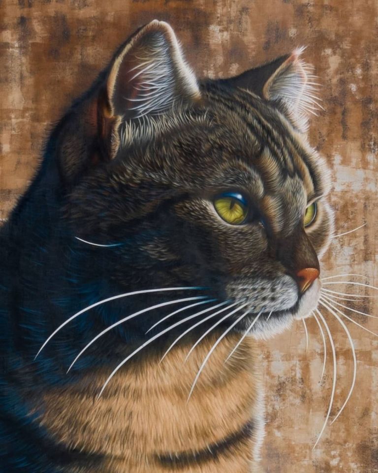 Street (cat) Art by SWIFTMANTIS in Papaioea, New Zealand (4 photos ...
