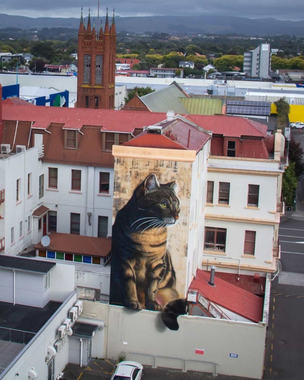 Street (cat) Art by SWIFTMANTIS in Papaioea, New Zealand (4 photos ...