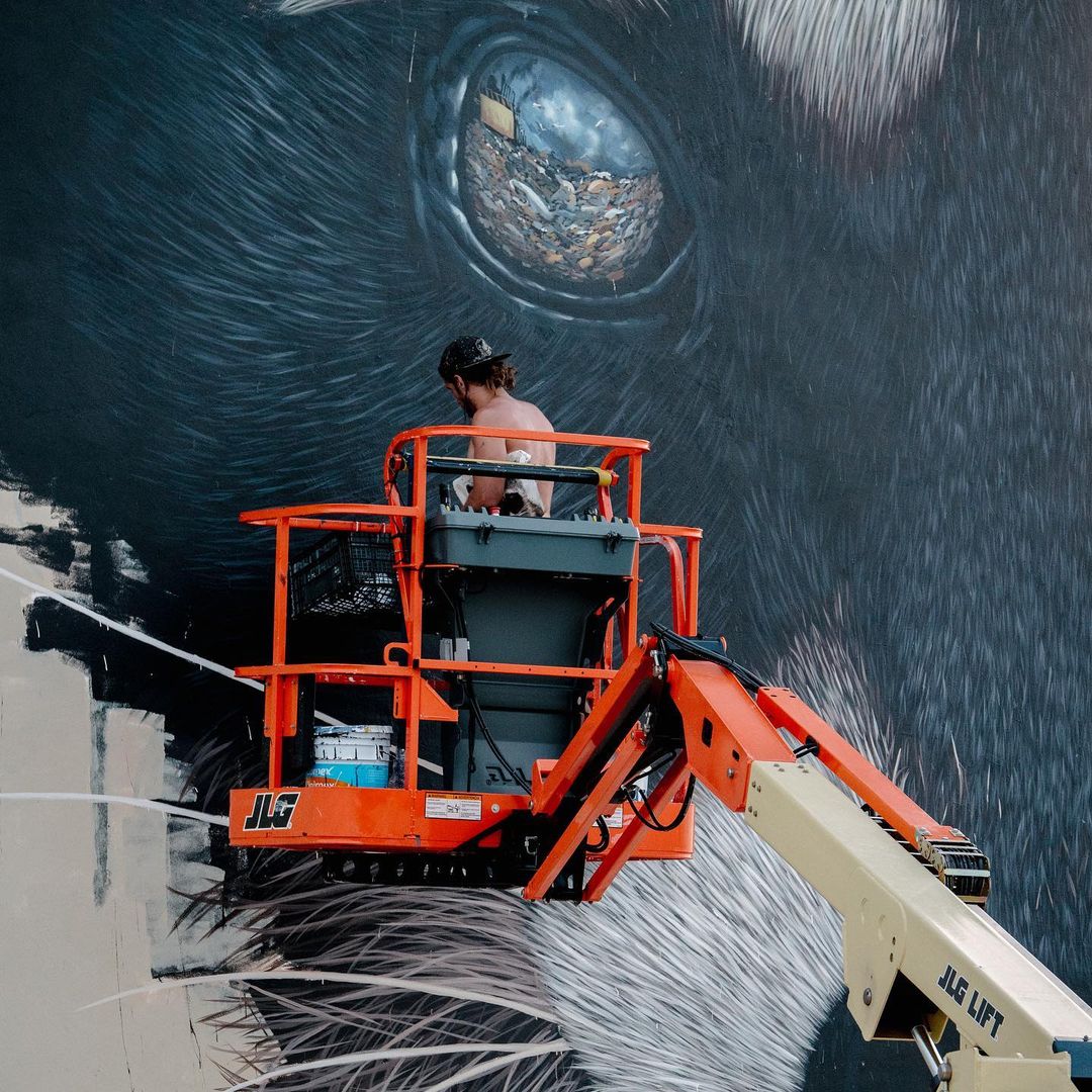 ‘Mapache’s Stare’ by Sonny in Cozumel, Mexico (8 photos) | STREET ART ...