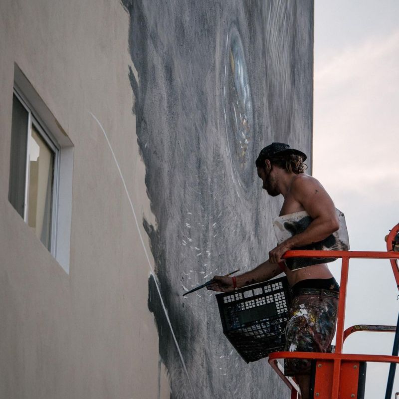 ‘Mapache’s Stare’ by Sonny in Cozumel, Mexico (8 photos) | STREET ART ...