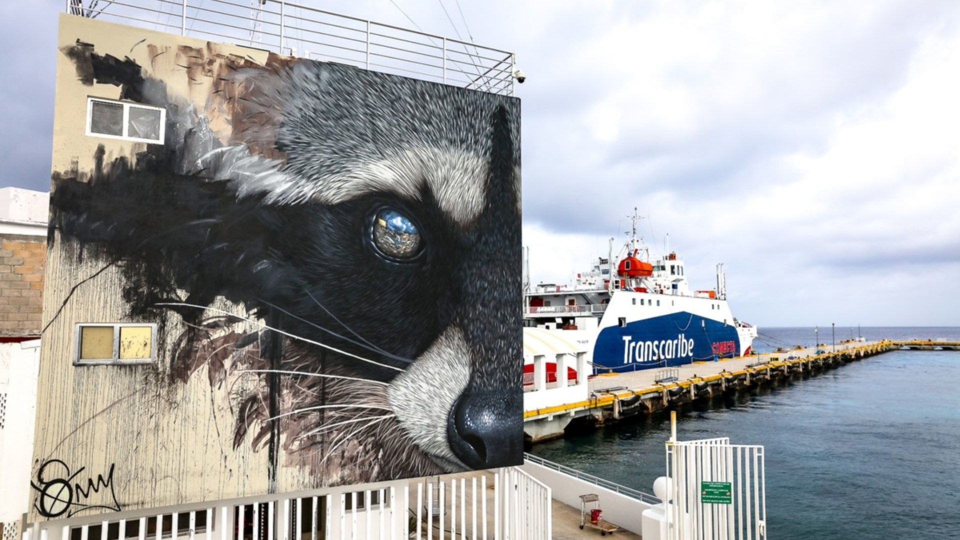 ‘Mapache’s Stare’ by Sonny in Cozumel, Mexico (8 photos) | STREET ART ...