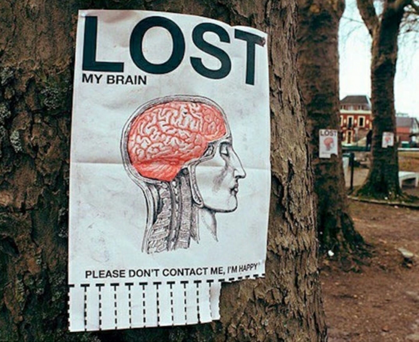 Lost my brain! Please don’t contact me, I’m happy | STREET ART UTOPIA