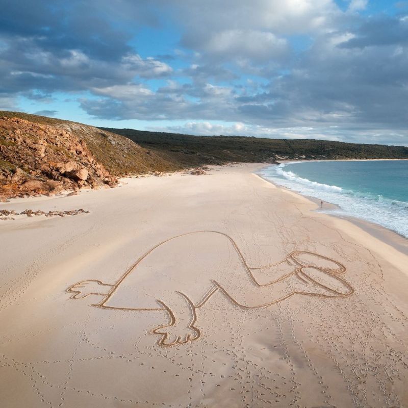 “Head in the sand” Beach art by Ian Mutch in Australia (6 artworks ...