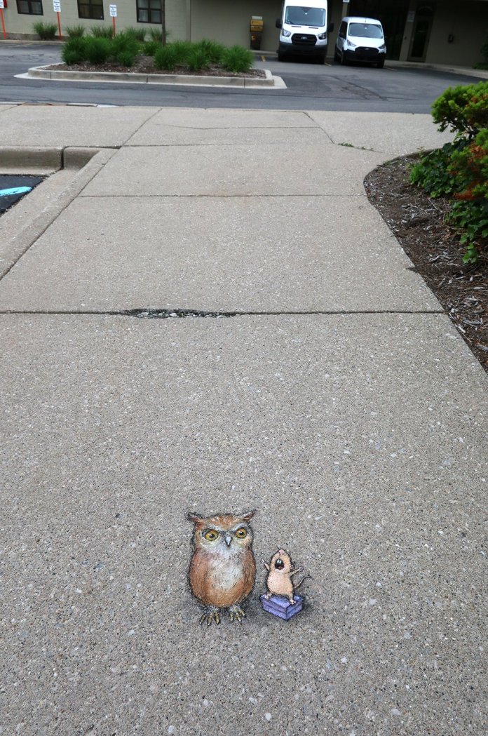 5 Photos of Chalk art by David Zinn: Nadine’s Evening of Adventure ...