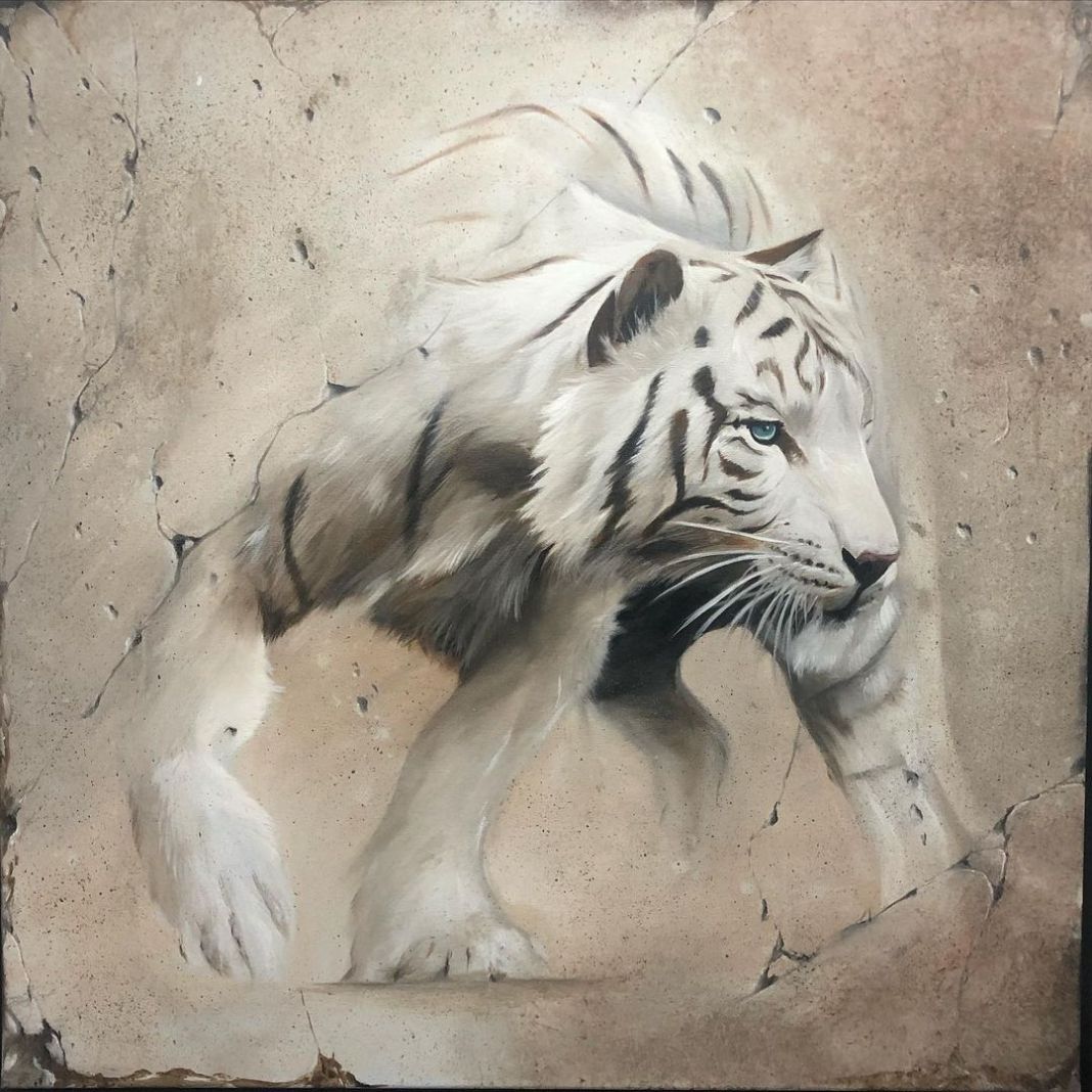 7 Photos Of Endangered Beauty: How Dave Baranes Graffiti Captures ...