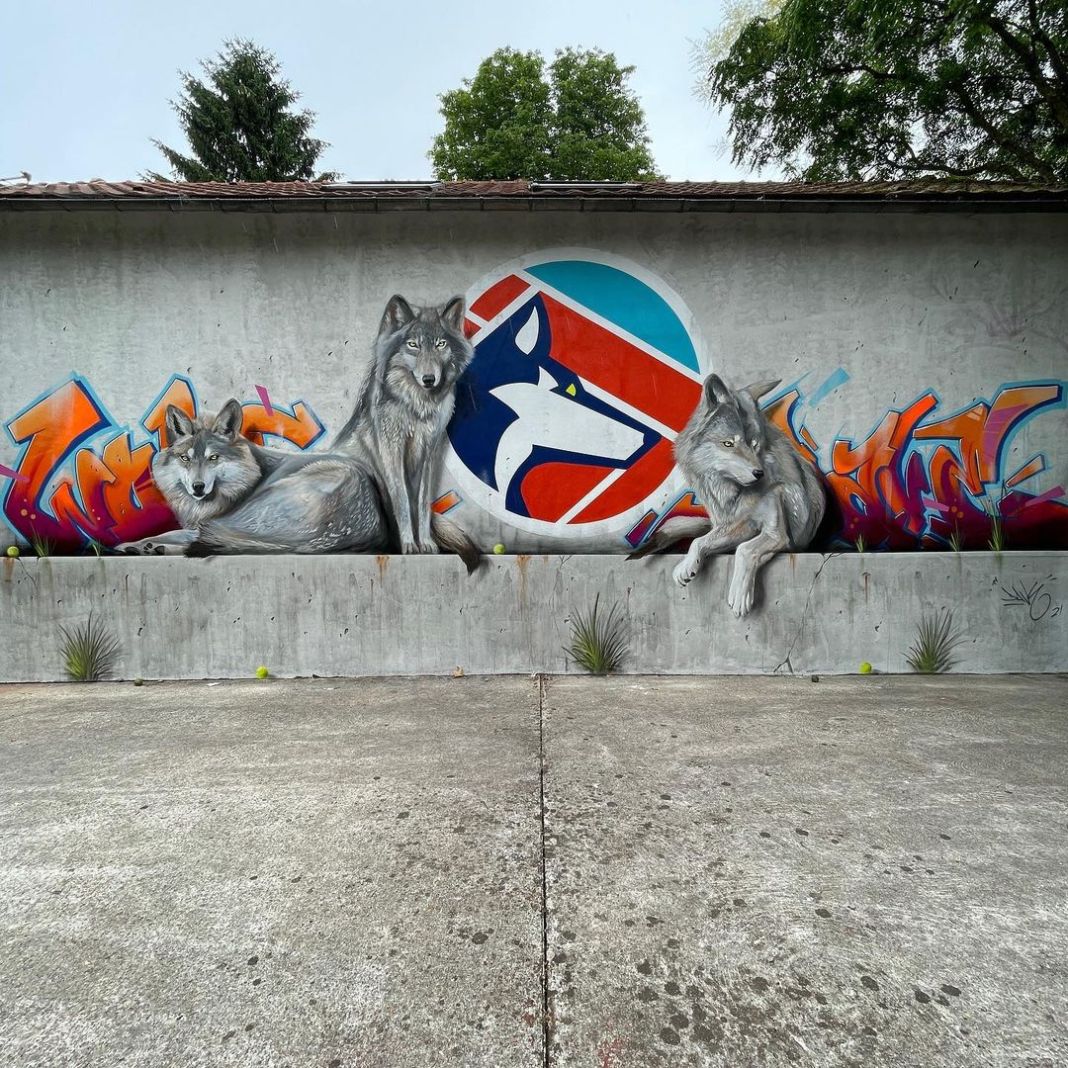 7 Photos Of Endangered Beauty: How Dave Baranes Graffiti Captures ...
