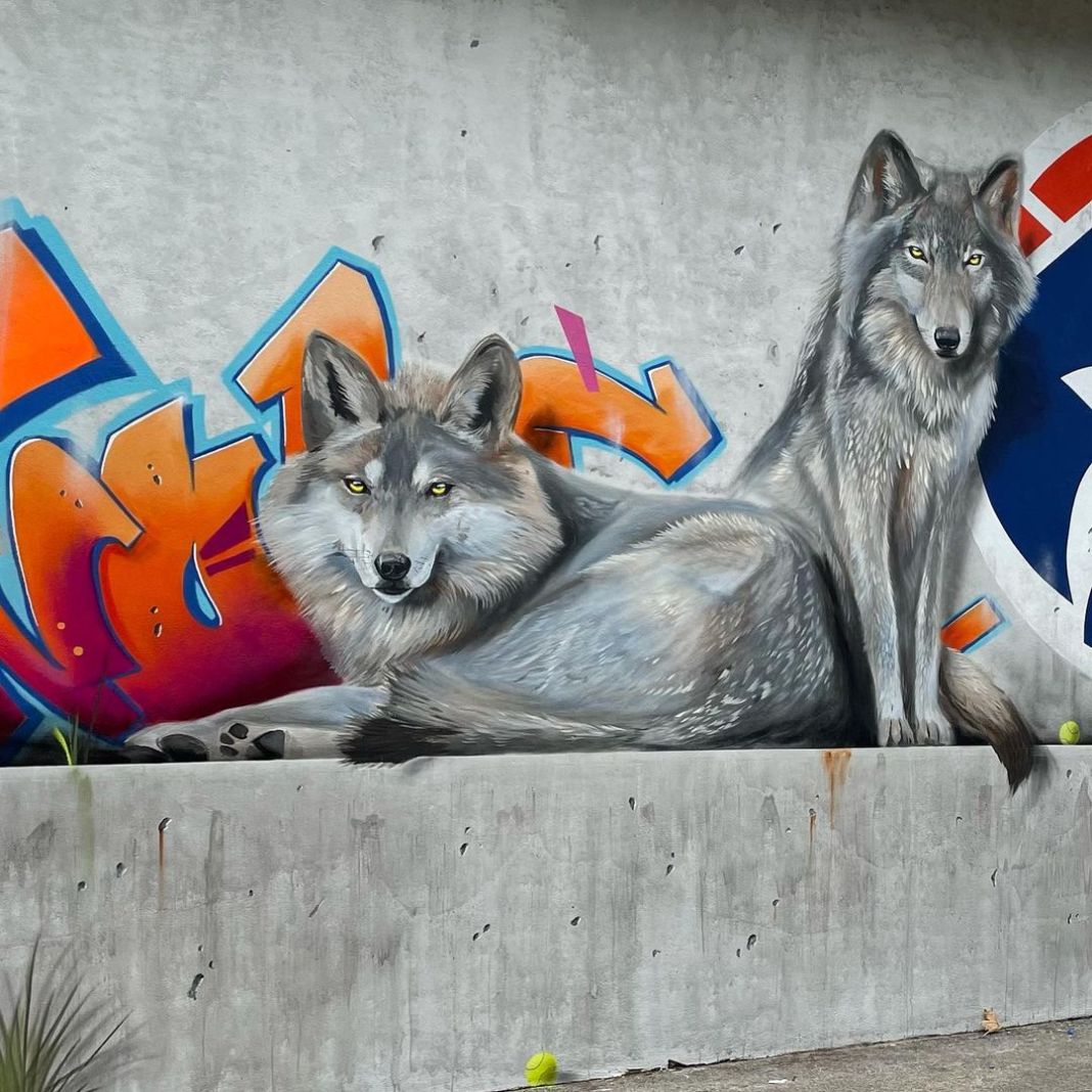 7 Photos Of Endangered Beauty: How Dave Baranes Graffiti Captures ...