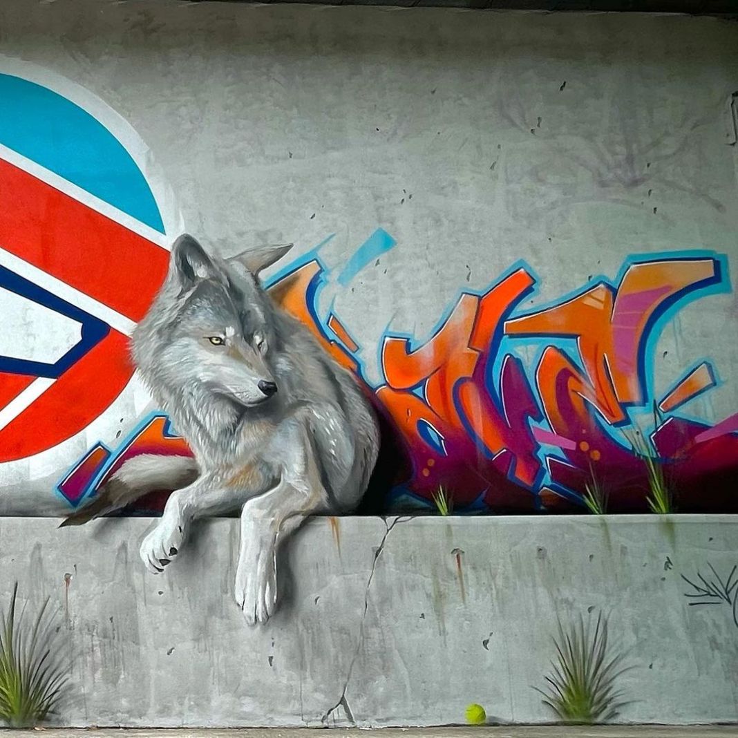 7 Photos Of Endangered Beauty: How Dave Baranes Graffiti Captures ...