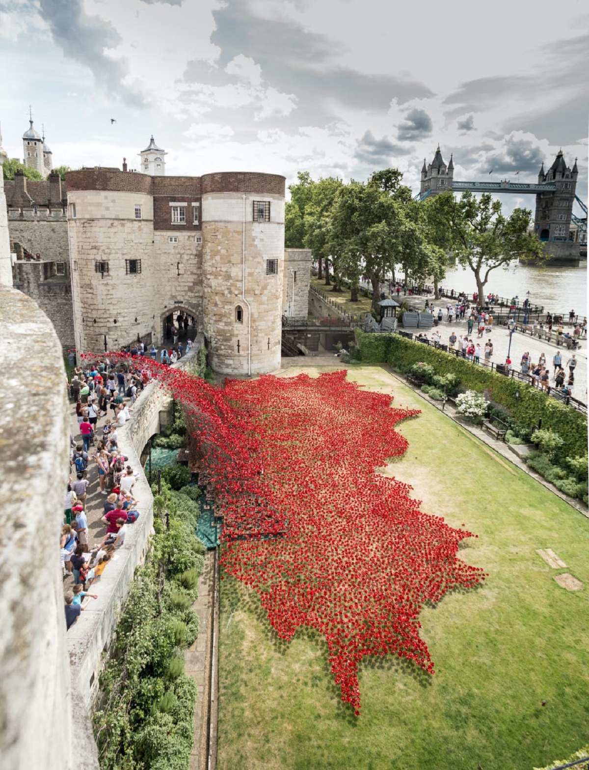 888,246 ceramic poppies poured like blood from the Tower of London ...