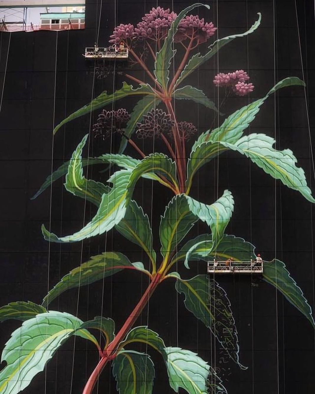 Rewilding urbanity with botanical mural (NY, USA) | STREET ART UTOPIA