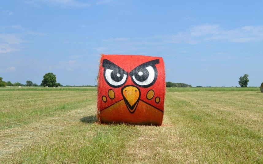 Angry-Birds-–-Graffiti-by-Sqon-in-Italy | STREET ART UTOPIA