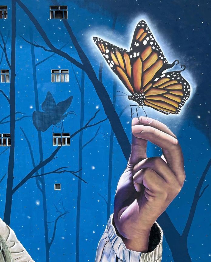6 photos: The butterfly effect (by Dridali in El Berrón, Spain ...