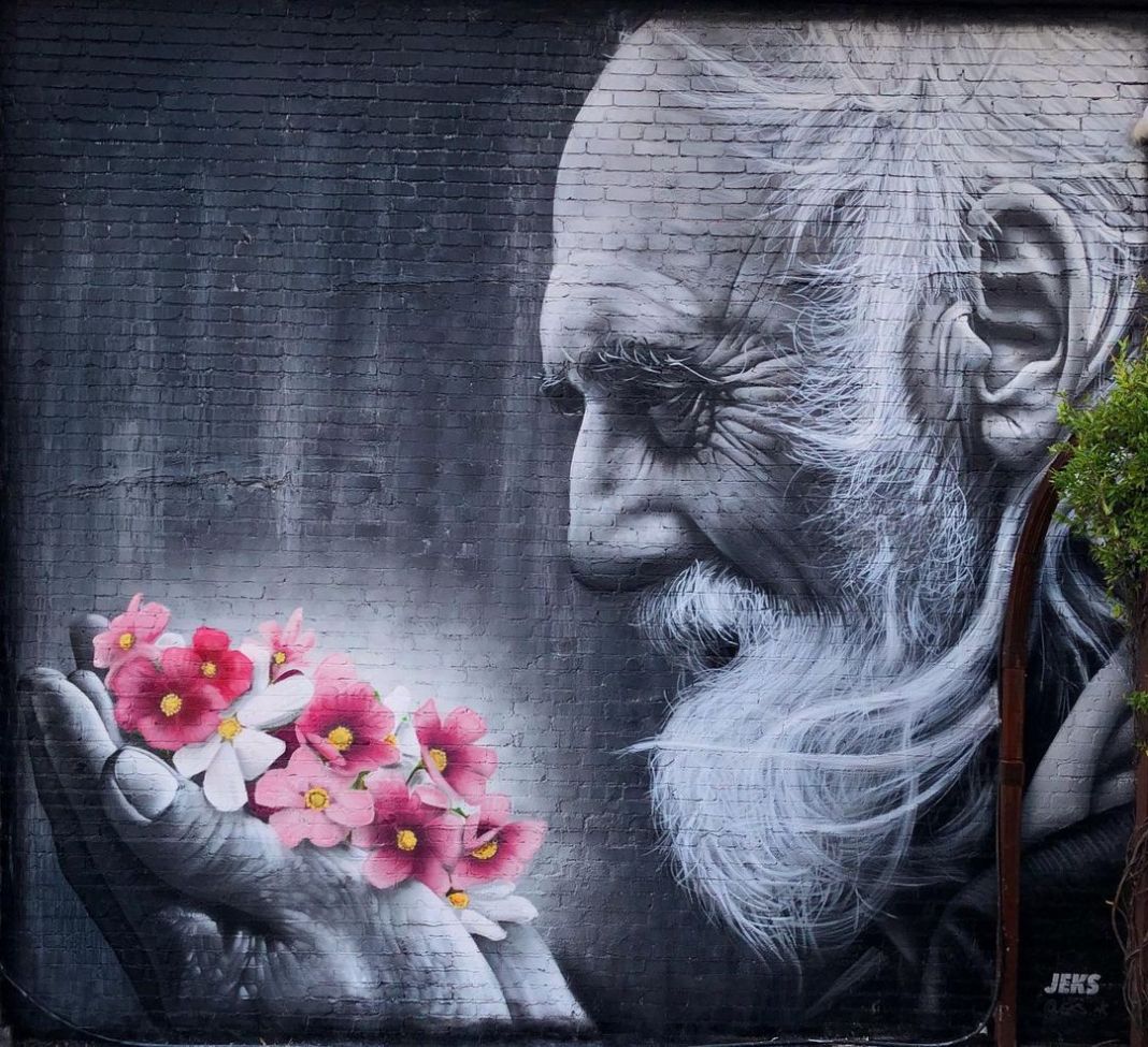 Old man holding flowers | STREET ART UTOPIA