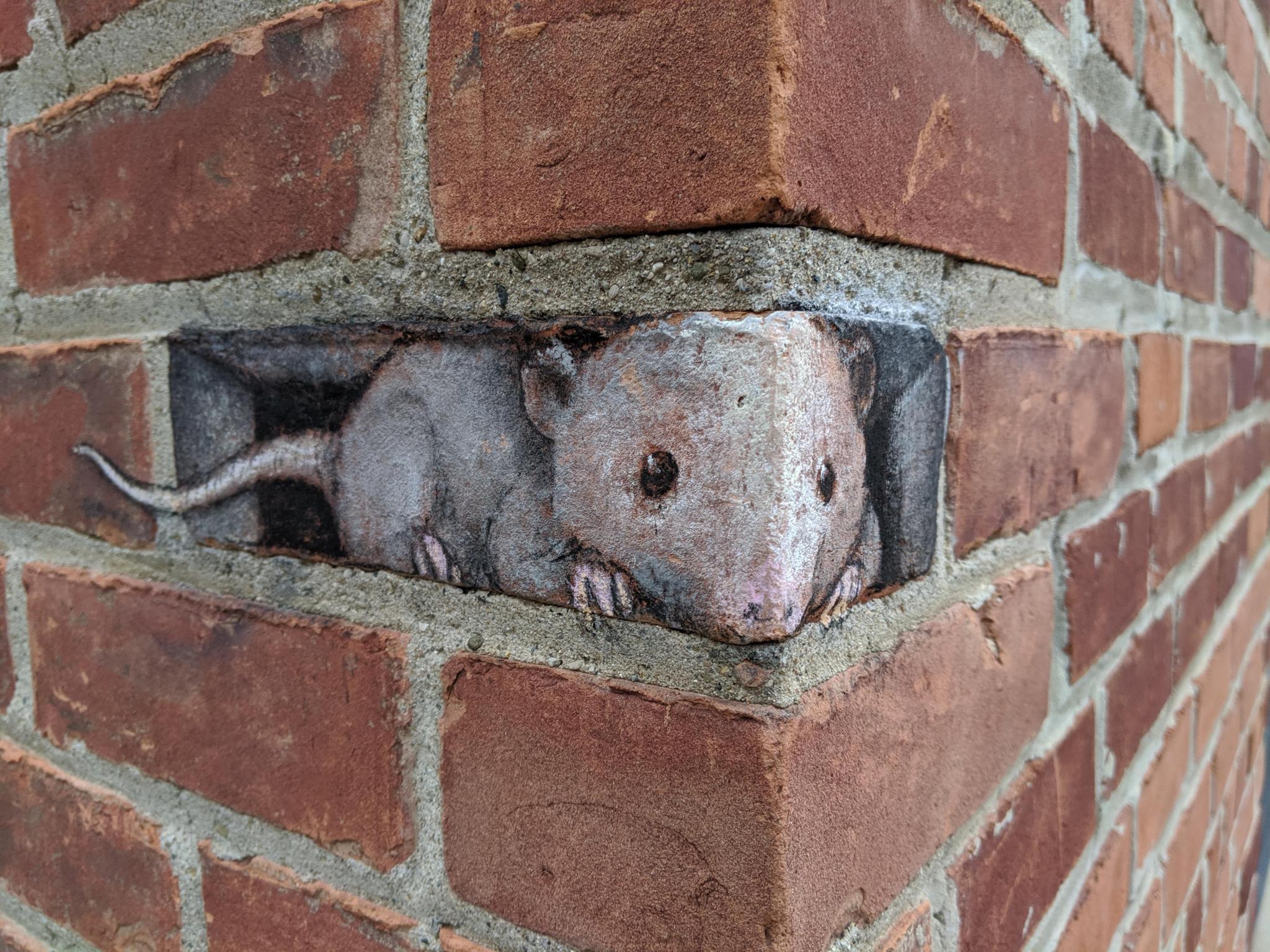 Rat in the wall | STREET ART UTOPIA