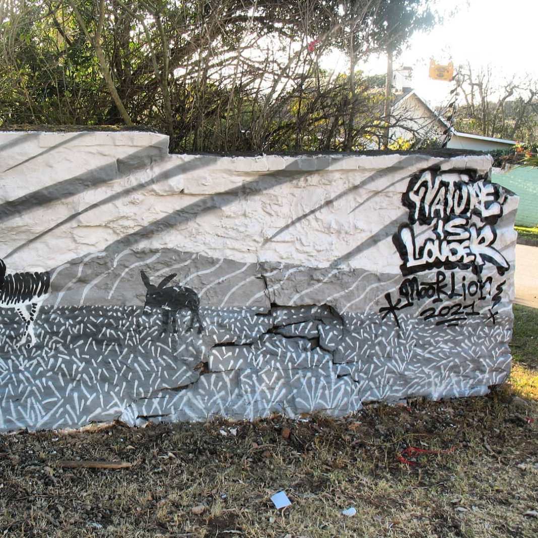 8 pics: Donkeys of Makhanda gathered from Hlalani to Sunnyside and ...