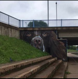 Springer Spaniel painted on Exe Bridge (5 photos) | STREET ART UTOPIA