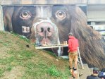 Springer Spaniel painted on Exe Bridge (5 photos) | STREET ART UTOPIA