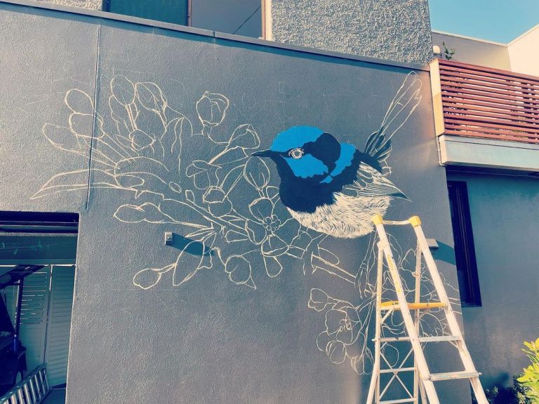 Male Fairy Wren by Geoffrey Carran Melbourne, Australia | STREET ART UTOPIA
