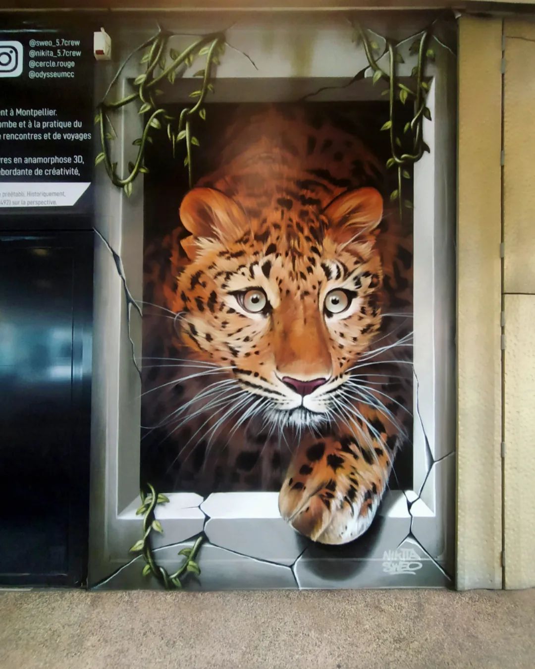 3D Post Graffiti Leopard by Nikita and Sebastien Sweo in Montpellier ...
