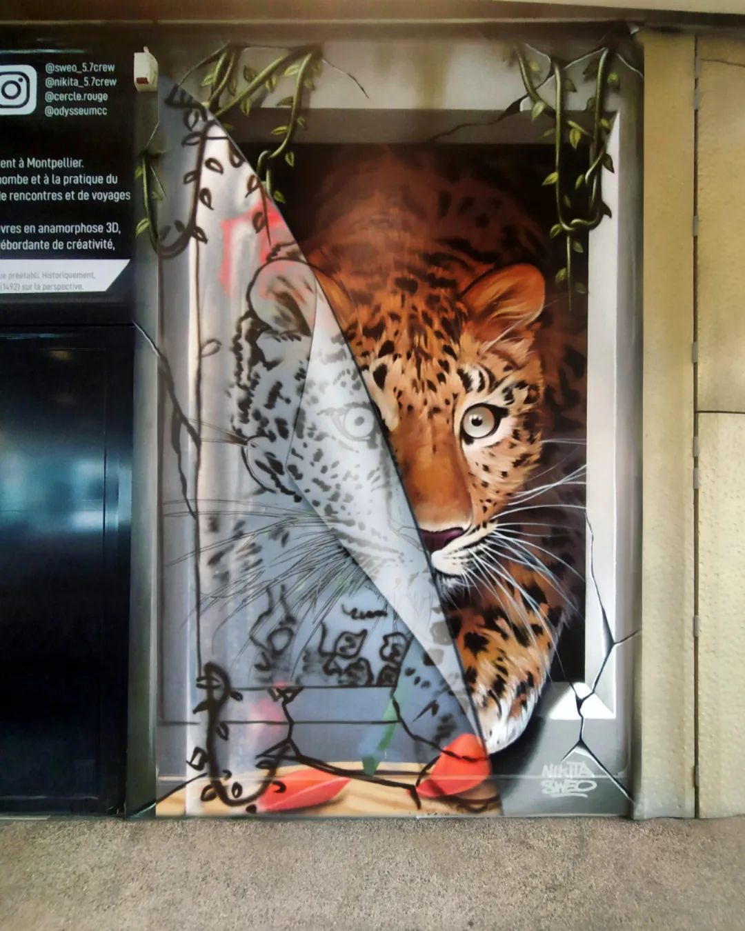 3D Post Graffiti Leopard by Nikita and Sebastien Sweo in Montpellier ...