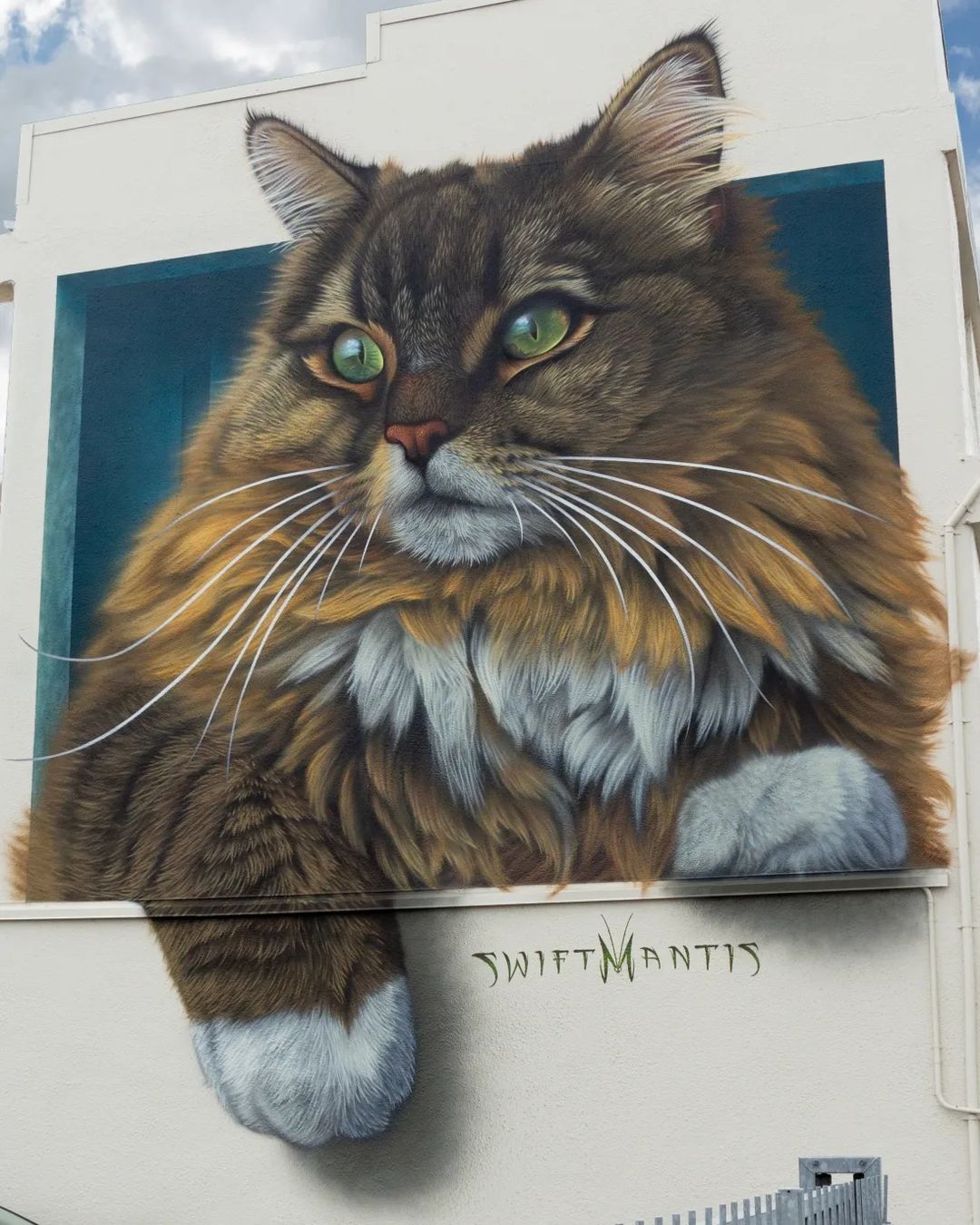 ‘Rustle in Feilding’ – Cat mural by SWIFTMANTIS at Manawatū Street Art ...