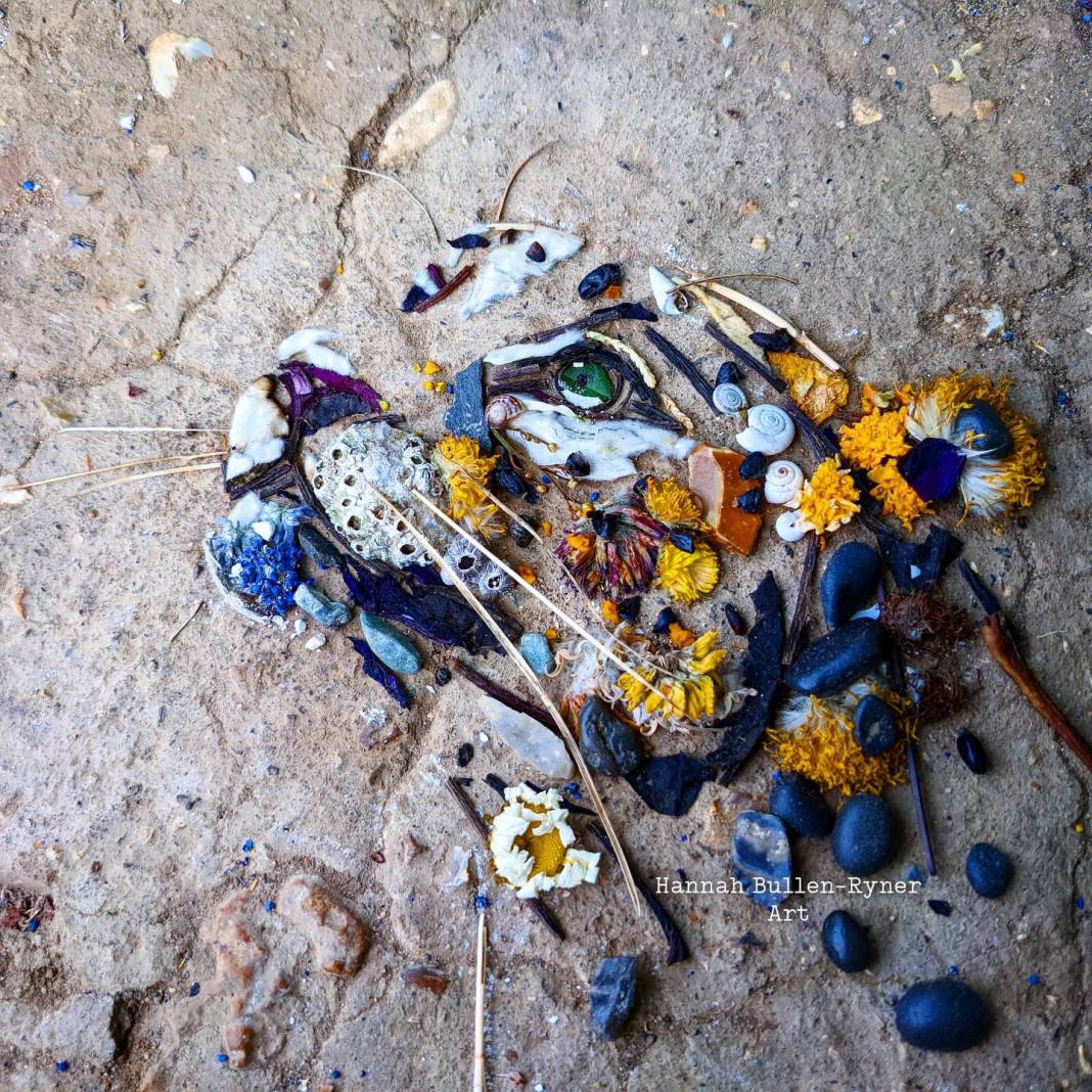 Nature Is Everything! 18 Stunning Artworks by Hannah Bullen-Ryner ...