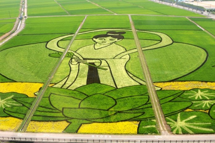 4 pics: The Japanese city Gyoda transforms agricultural land into works ...