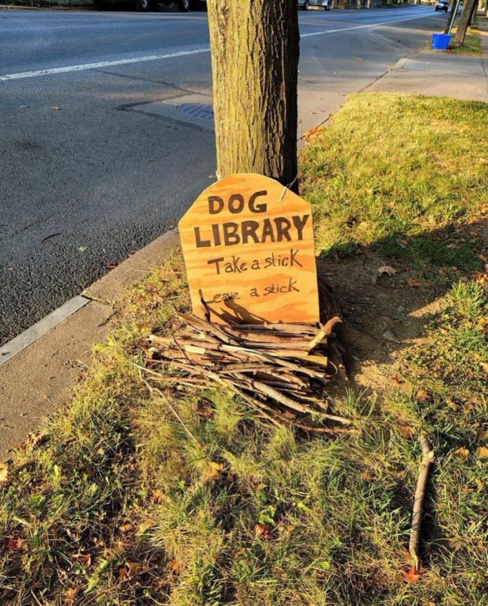 Dog Library: Take stick Leave a stick | STREET ART UTOPIA