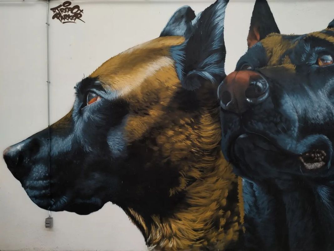 7 pics: Dog mural by Trepo Parker in Mexico City for Black Dog | STREET ...