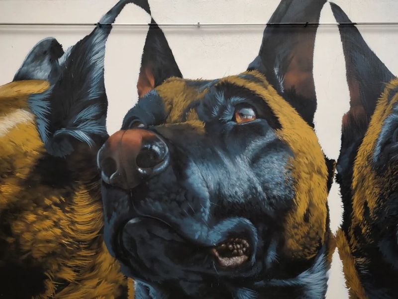 7 pics: Dog mural by Trepo Parker in Mexico City for Black Dog | STREET ...