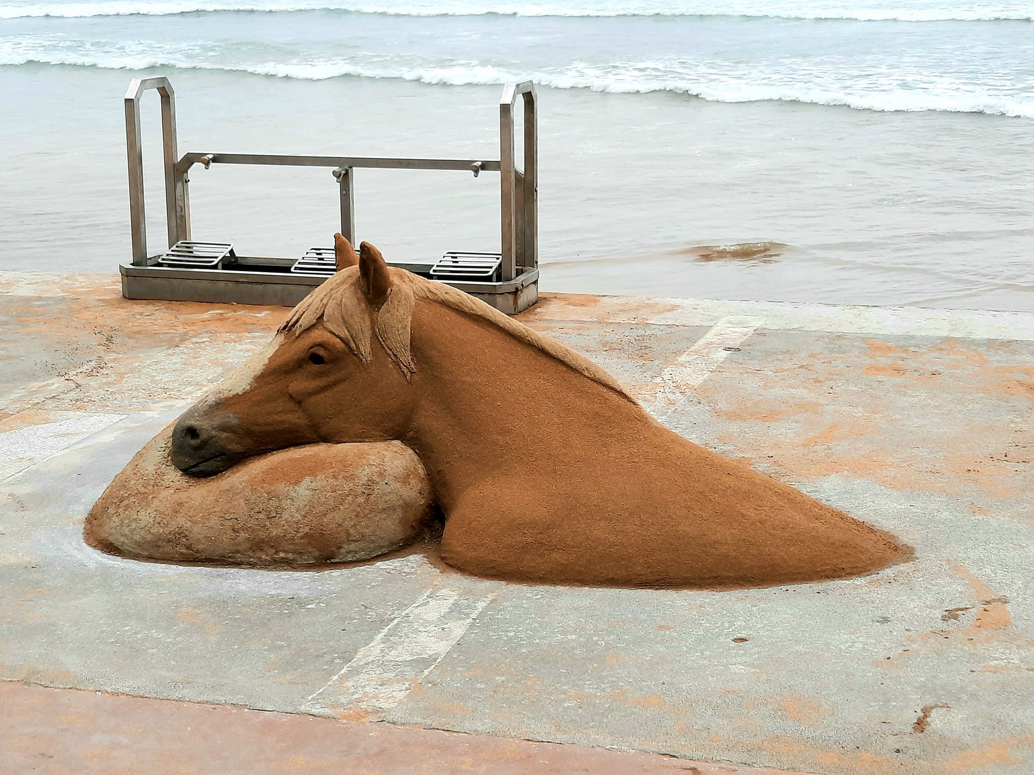 Incredibly realistic sand sculptures, made by Spanish artist Andoni ...