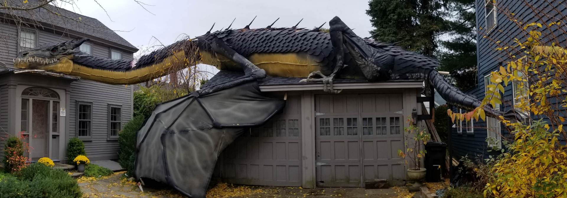 This dragon someone put on their house for Halloween - STREET ART UTOPIA
