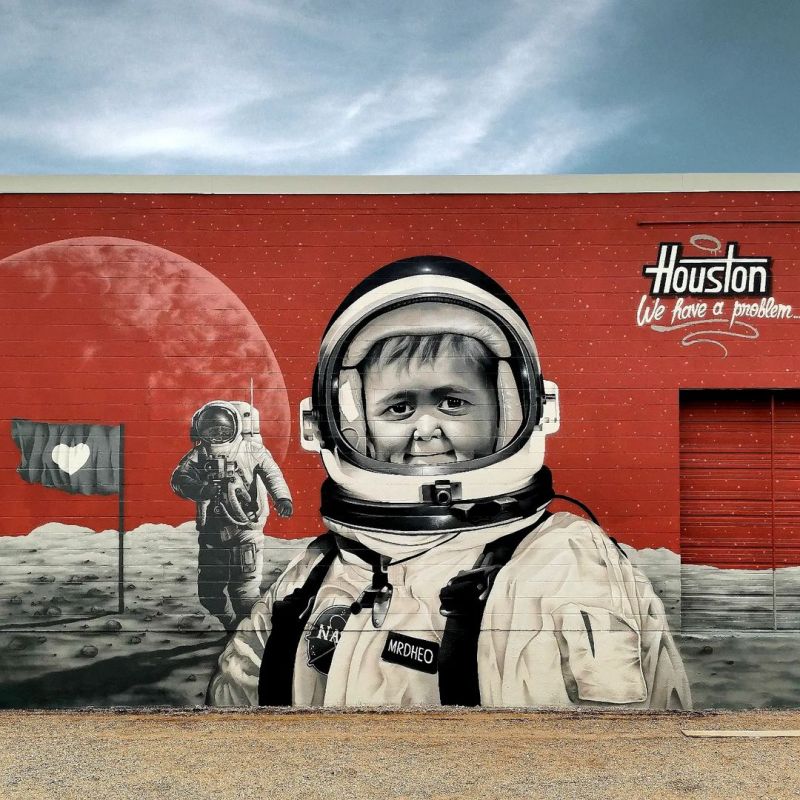 Houston, we have a problem – Mural with Hasbulla as a astronaut by ...