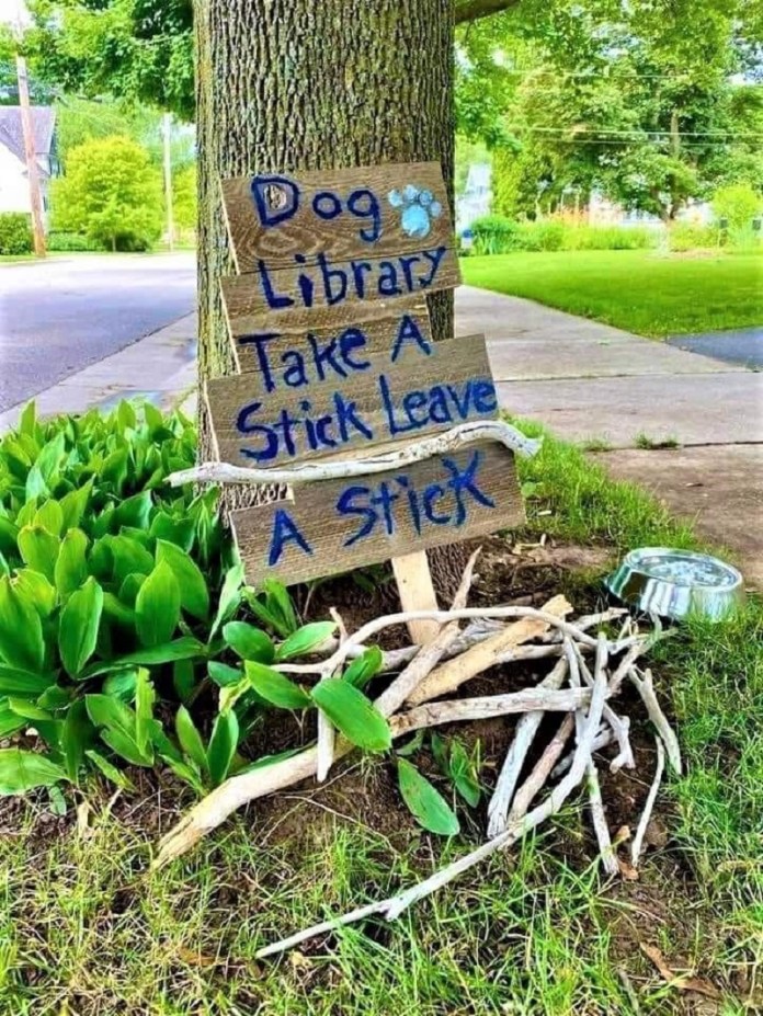 Dog Library: Take stick Leave a stick | STREET ART UTOPIA