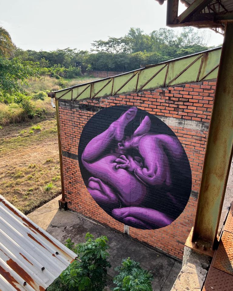 Sexy mural by AMPLEXUS and Eric Skotnes in Agustín Codazzi, Colombia | STREET ART UTOPIA