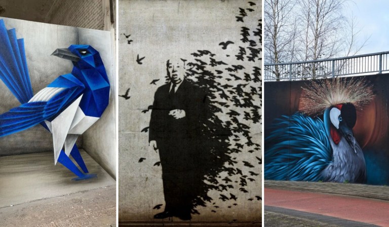 16 Stunning Bird-Inspired Street Art Murals from Around the World ...