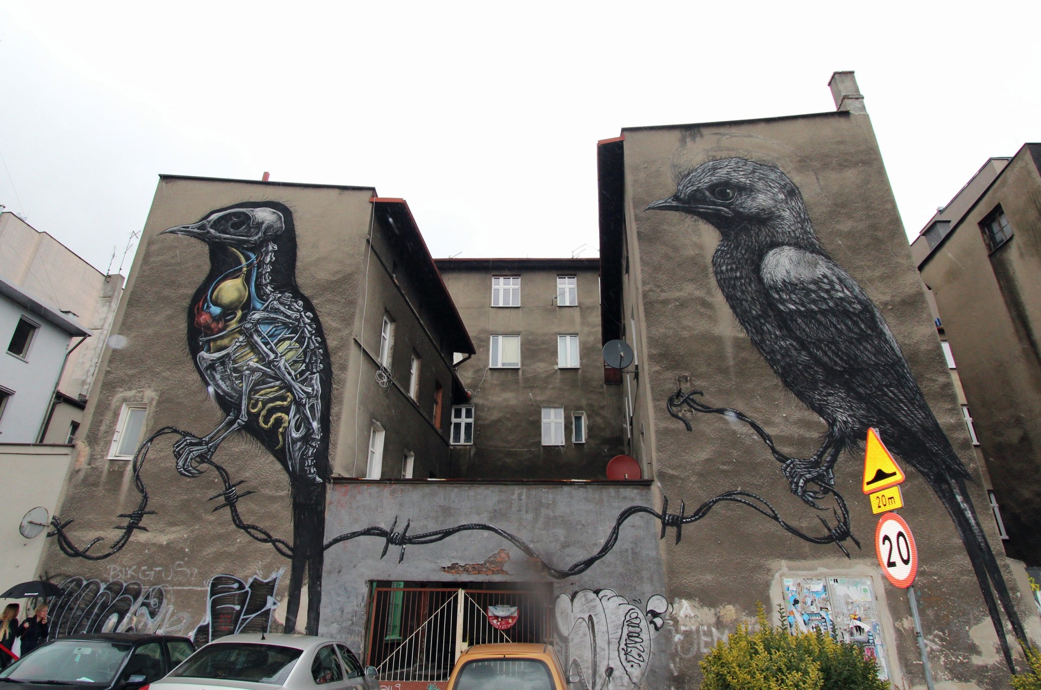 16 Stunning Bird-Inspired Street Art Murals from Around the World ...