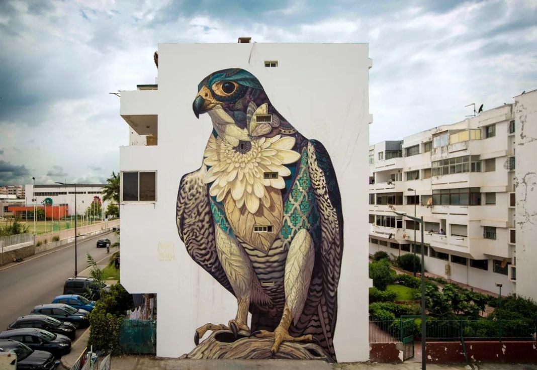 4 Photos of Falcon – Mural by Alegria del Prado in Rabat, Morocco ...