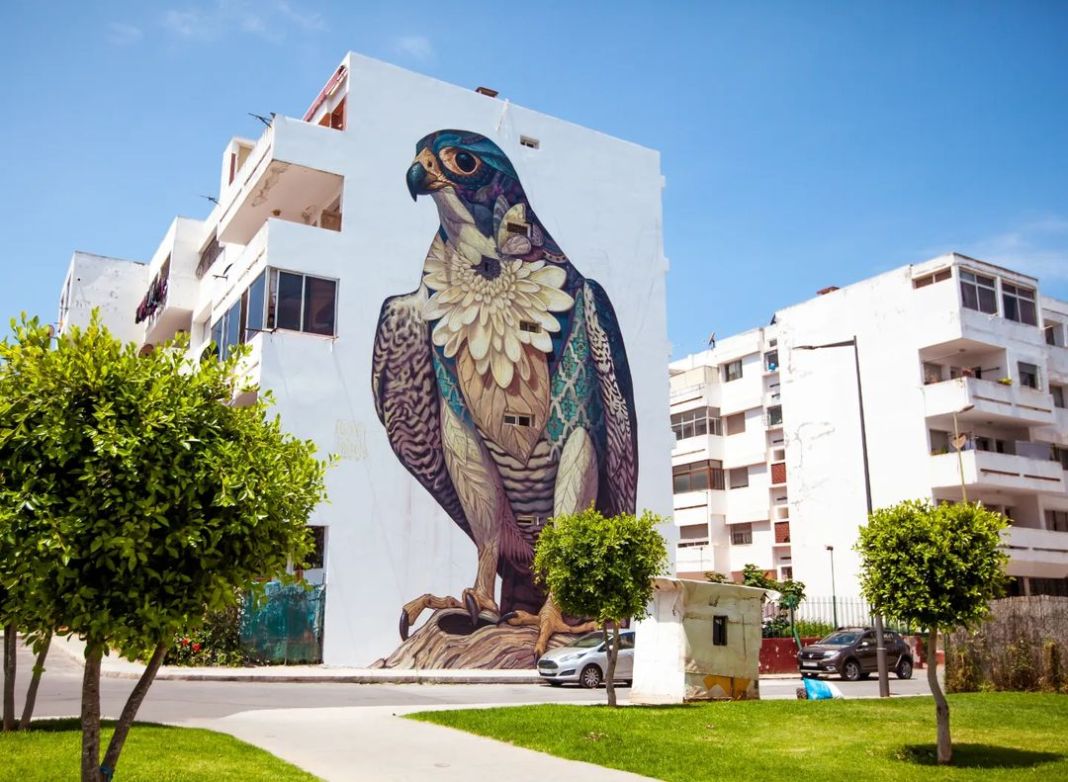 4 Photos of Falcon – Mural by Alegria del Prado in Rabat, Morocco ...