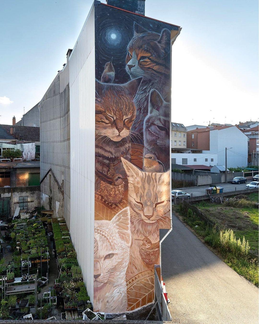 4 Photos of Cats and Birds Mural by Alegria del Prado in Carballo ...