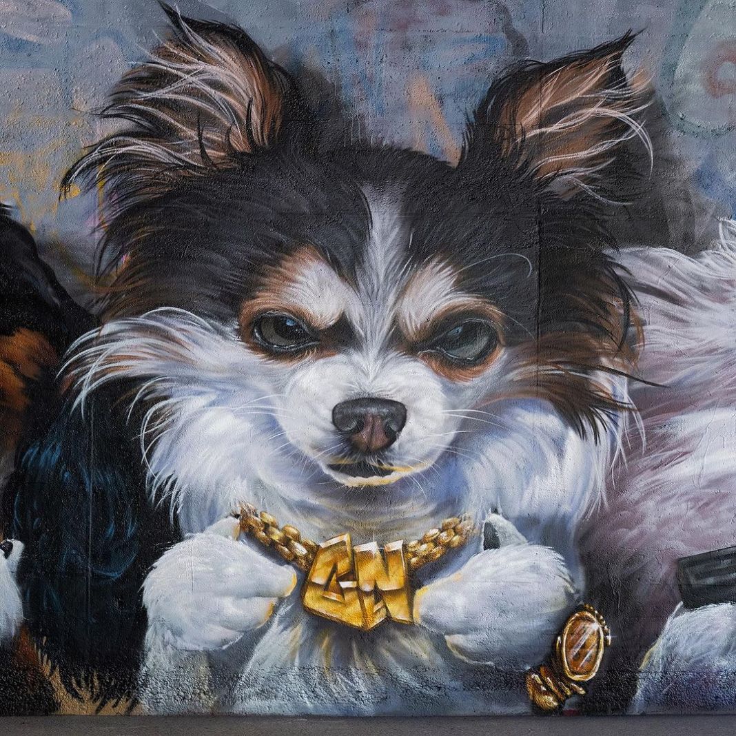 COLOR NOMADS DAWGS - By BillyGee Atelier, Fabian Bane Florin, and Alex ...