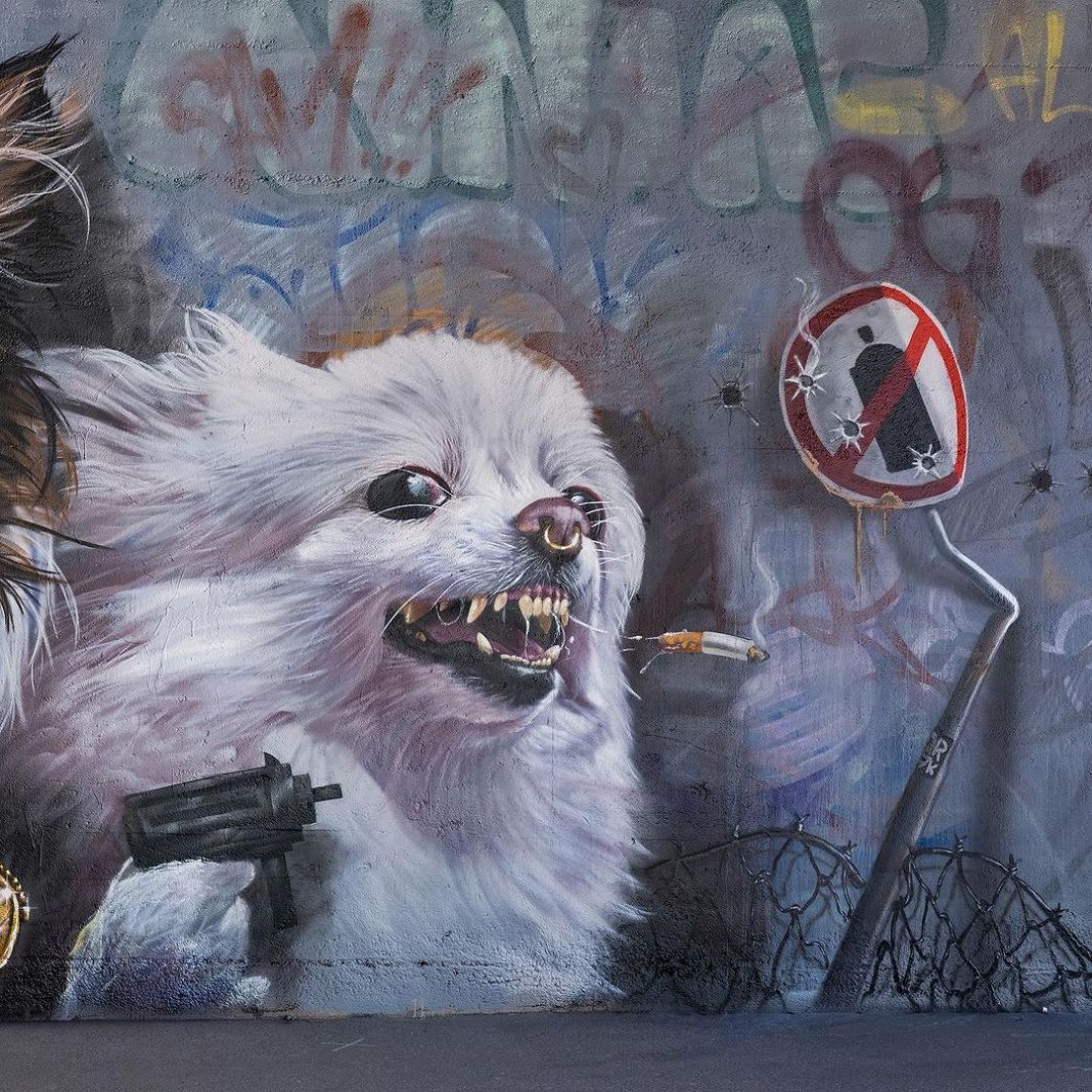 COLOR NOMADS DAWGS - By BillyGee Atelier, Fabian Bane Florin, and Alex ...