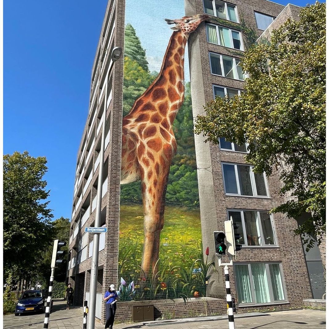 Hungry Giraffe in Utrecht: Jan Is De Man’s Mural Feeds on Real Plants ...