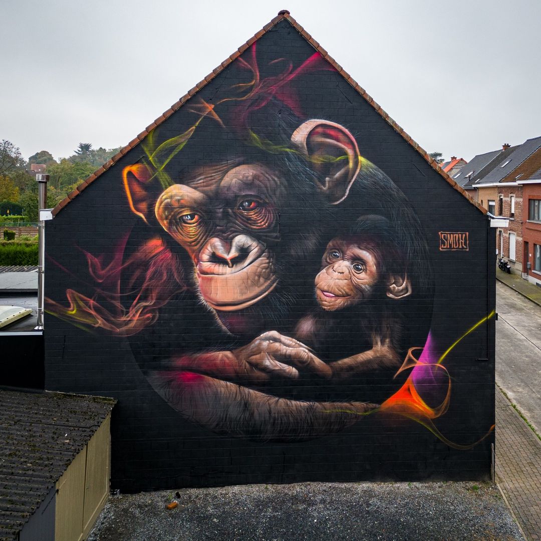 3 Photos of "A Glimpse of Humanity" by SMOK in Ronse, Belgium - STREET ...
