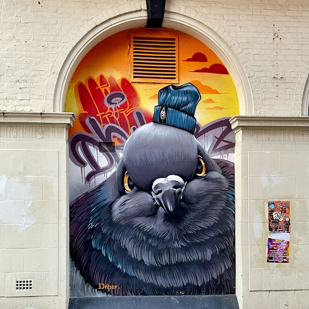 Pigeon dishing out some serious attitude in Southend, England | STREET ...