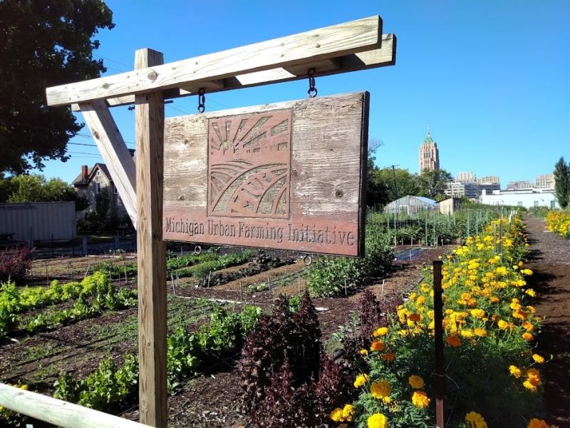 Michigan Urban Farming Feeds 2000 Households For Free From This Three ...