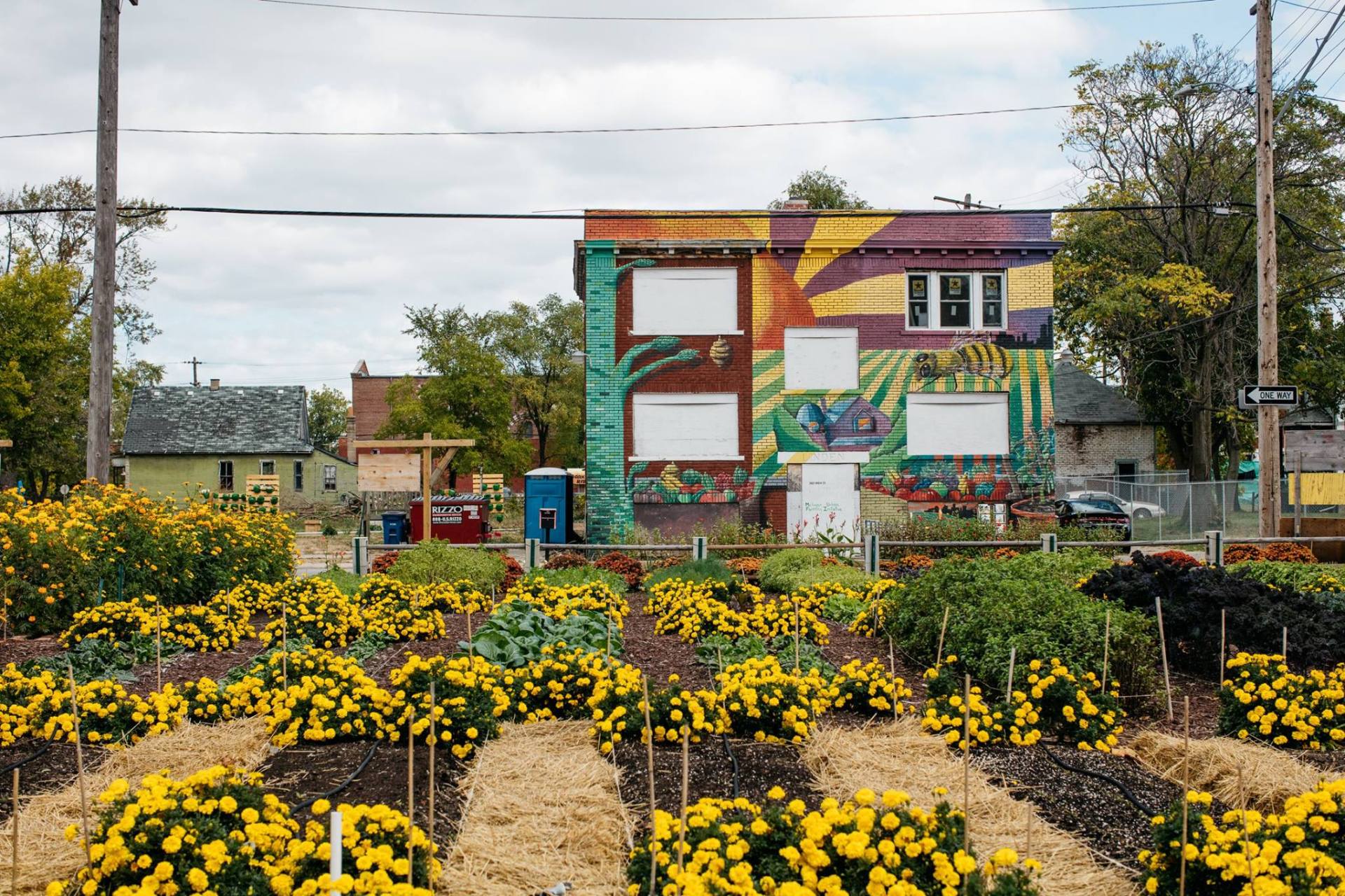 Michigan Urban Farming Feeds 2000 Households For Free From This Three ...